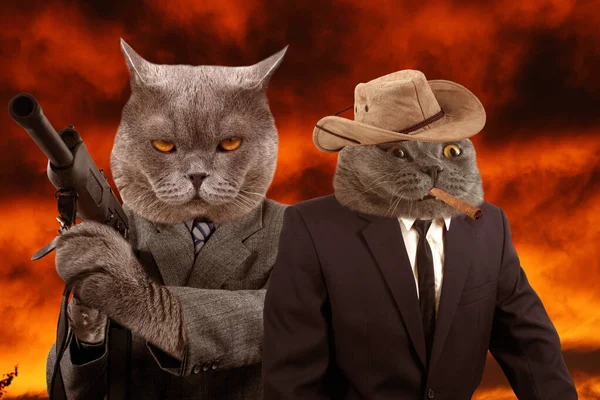 Gangster kadrosu Stock Photos, Royalty Free Gangster kadrosu Images ...