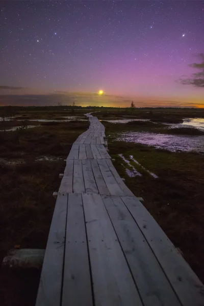Swamp at night Stock Photos, Royalty Free Swamp at night Images ...