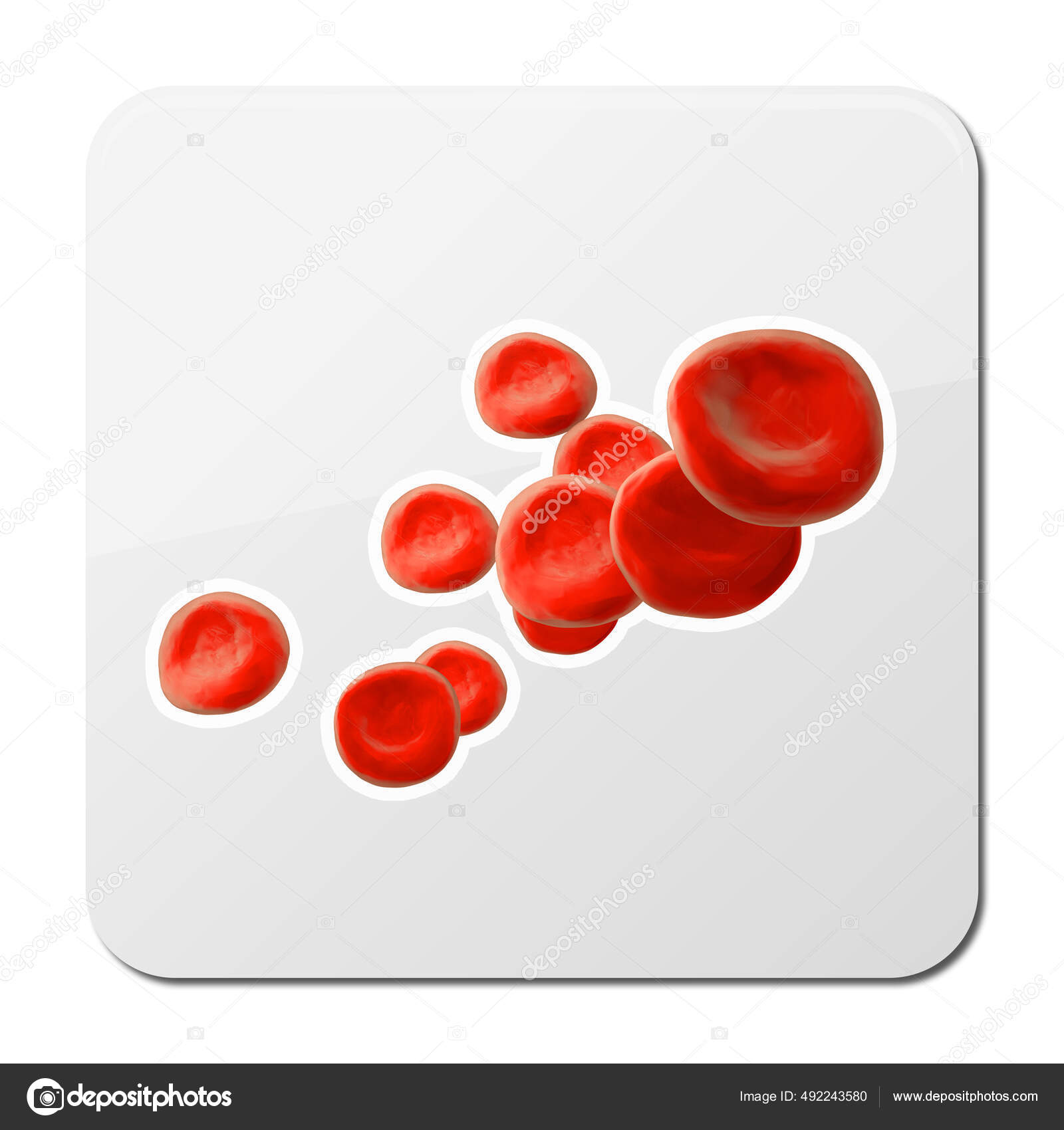 Group Realistic Blood Cells Render Medical Illustration — Stock Photo ...