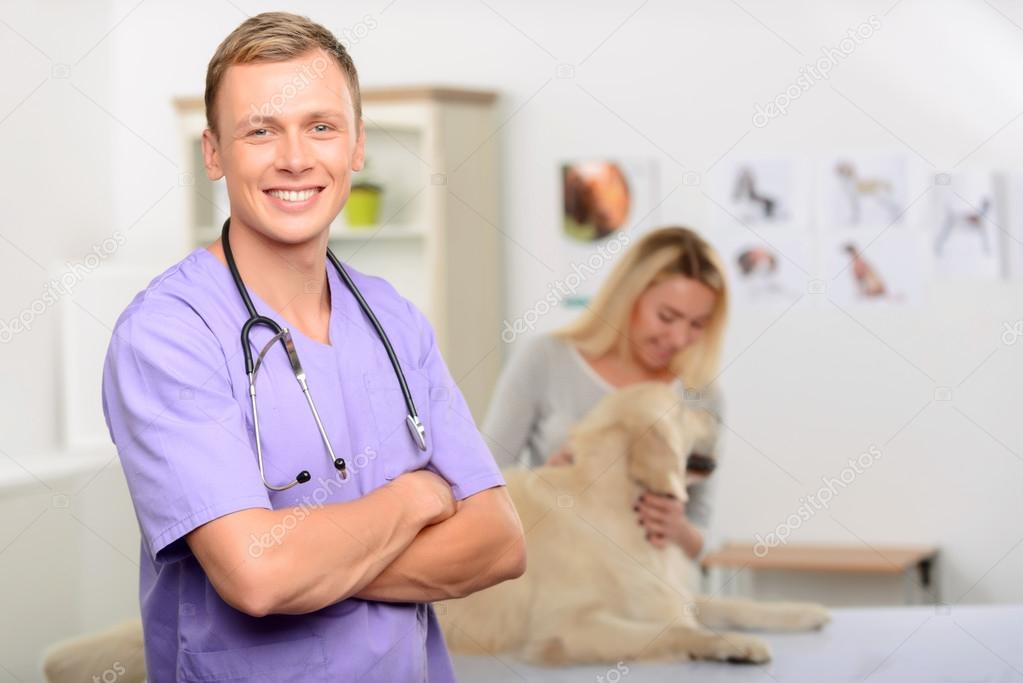 Professional vet examining a dog Stock Photo by ©Dmyrto_Z 86366604