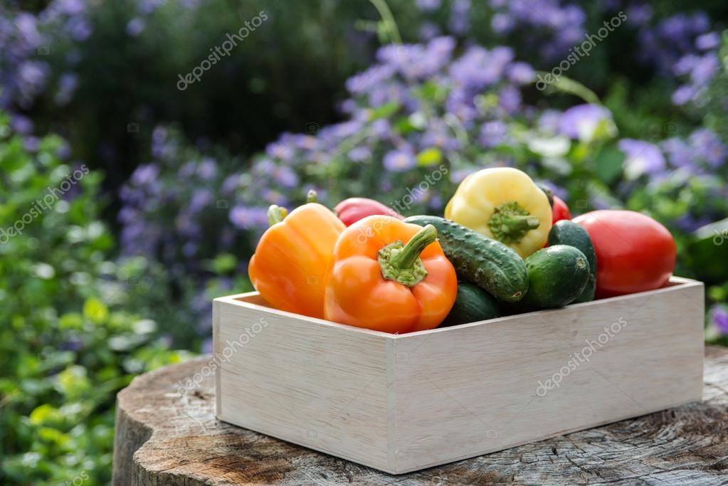 Wooden box with fresh vegetables Stock Photo by ©jutar 72538045