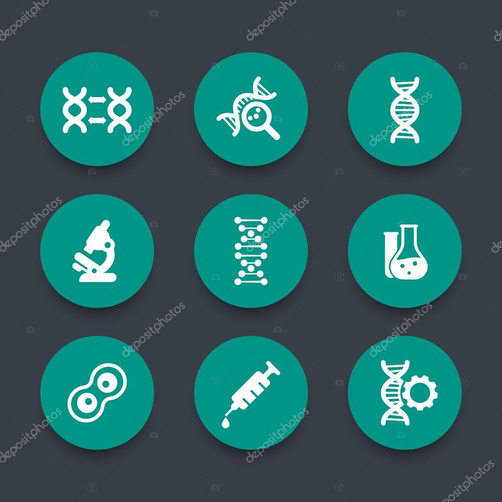 iconos genéticos, signo de vector de cadena de ADN, modificación genética, replicación de ADN ...