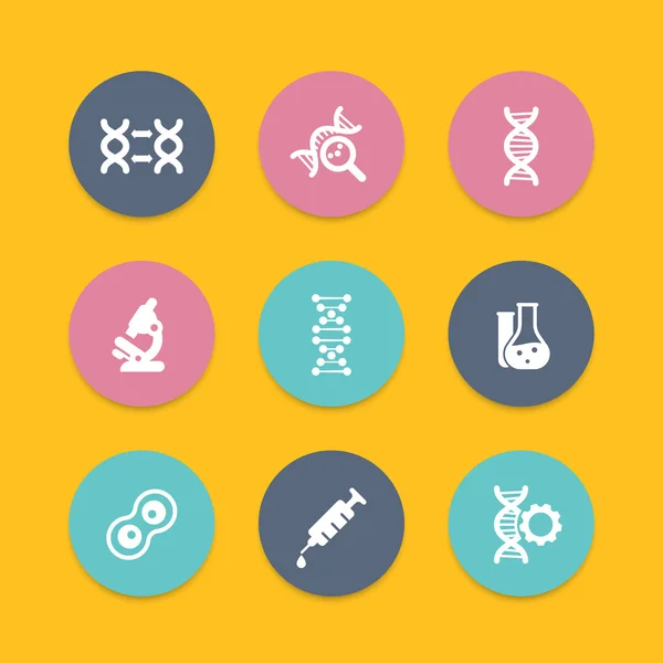 Dna pictogram | Genetics icons, dna chain vector pictogram, genetic ...