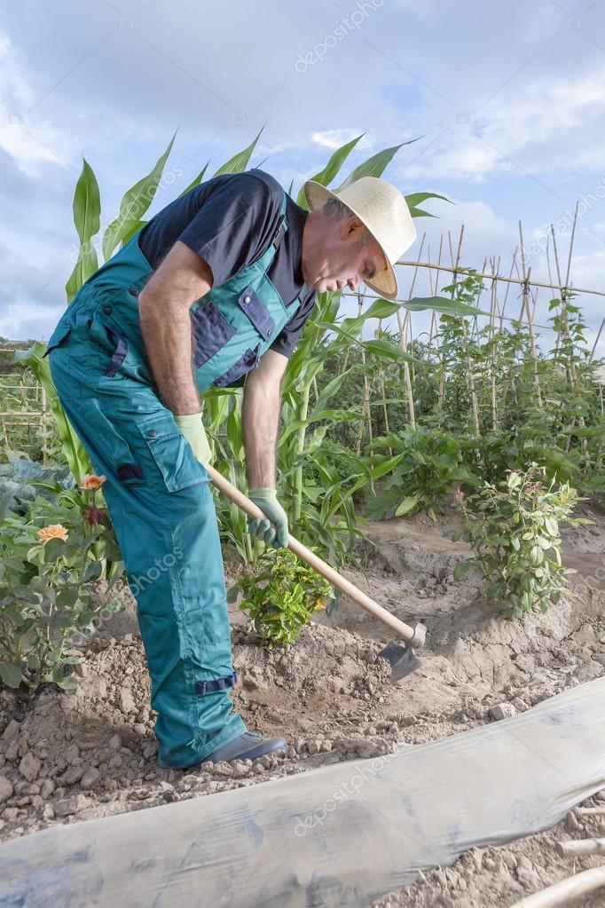 Imágenes: un campesino | campesino trabajando la tierra — Foto de stock ...