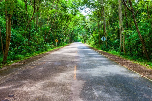 Philippines road Stock Photos, Royalty Free Philippines road Images ...
