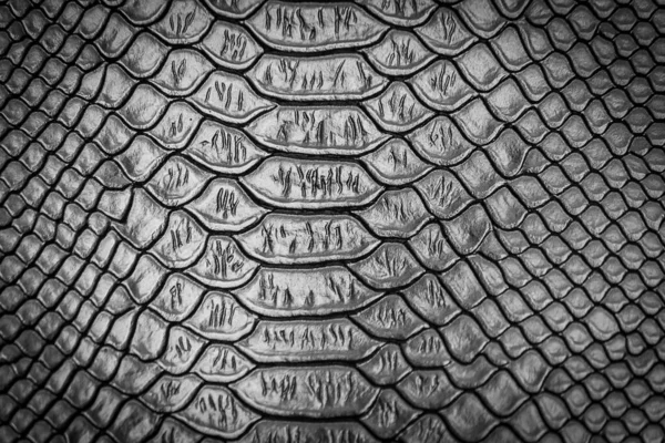 Textura de escamas Stock Photos, Royalty Free Textura de escamas Images ...