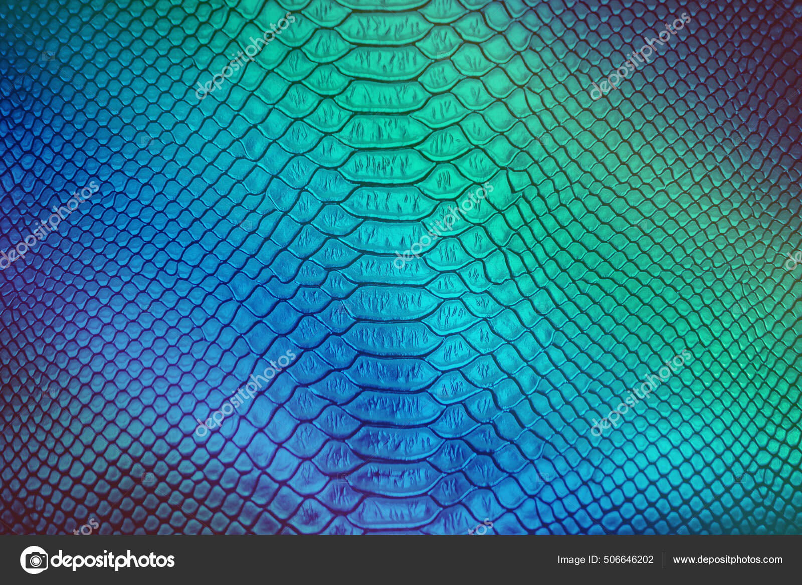 Close Luxury Snake Skin Texture Use Background — Stock Photo ... Close Luxury Snake Skin Texture Use Background — Stock Photo ...