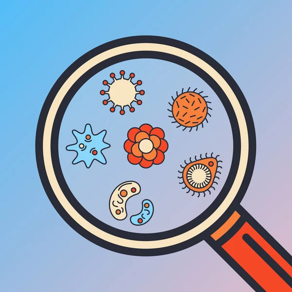 480 Magnifier glass with bacteria Vector Images | Depositphotos