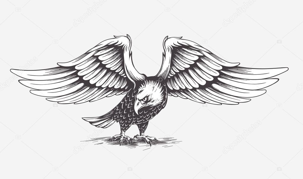 Detailed Hand Drawn Eagle. Vector. — Stock Vector © Lisitsa_ #82080890