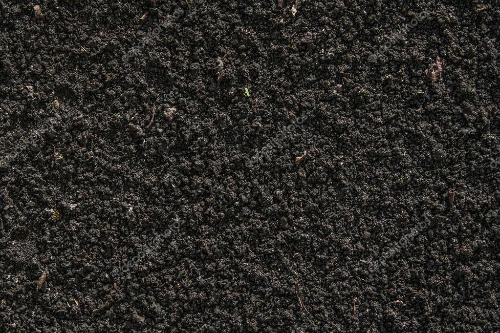 Dark Soil Texture