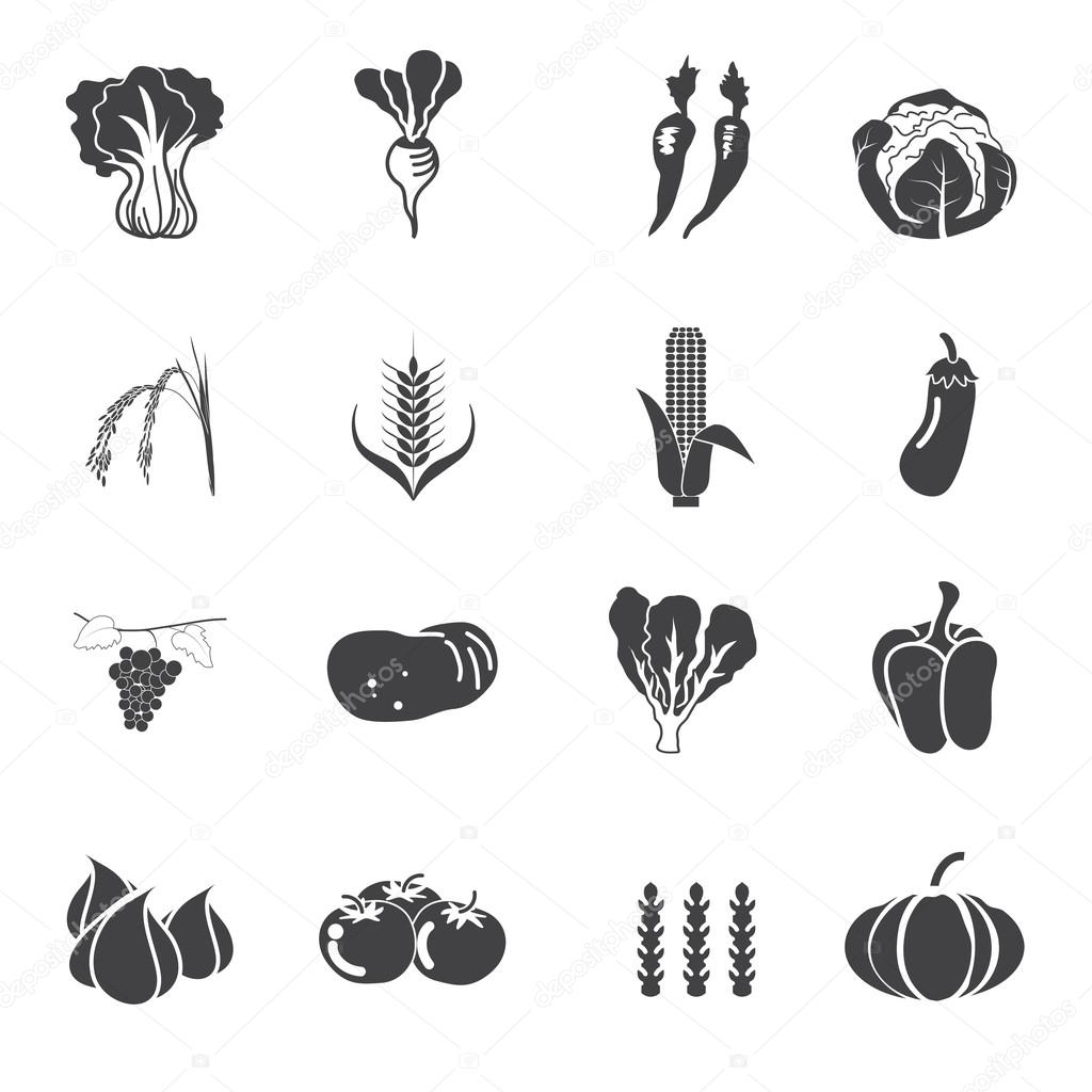 Collection vegetables vector set — Stock Vector © bitontawan02 #73470635
