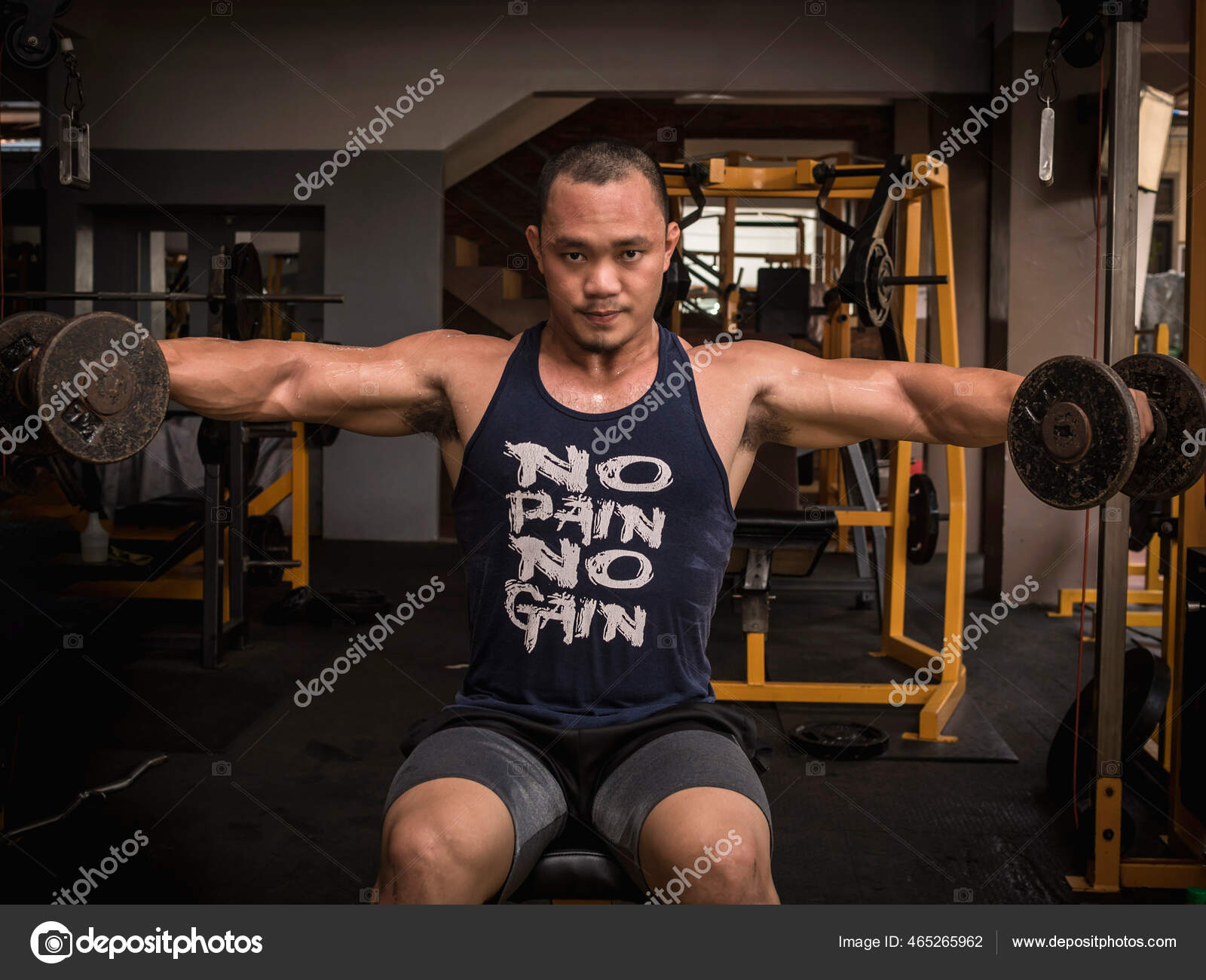 Seated Dumbbell Lat Raise Official Sale | www.pinnaxis.com Seated Dumbbell Lat Raise Official Sale | www.pinnaxis.com