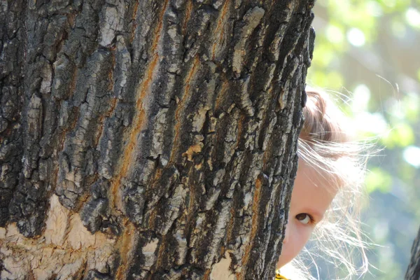 Scared Girl Hiding Behind Tree