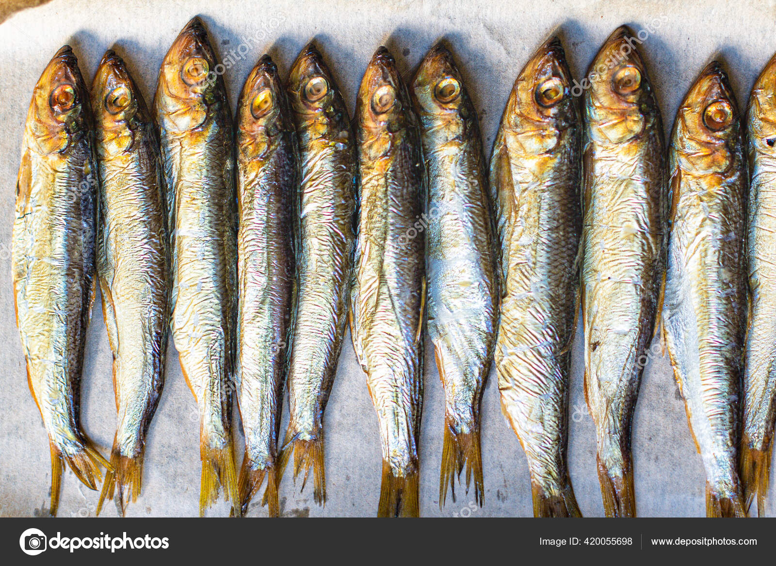 Sardines Sprats Smoked Salted Fish Seafood Meal Table Tasty Serving ...