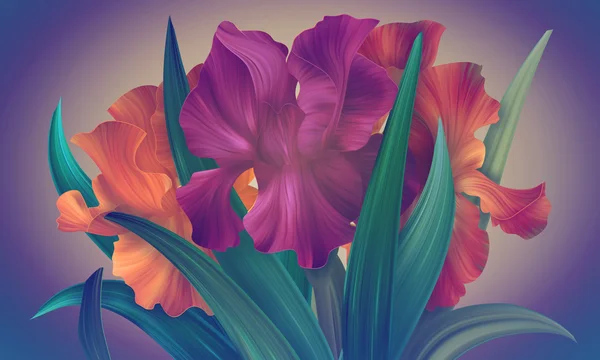 Fantasy Iris flowers ⬇ Stock Photo, Image by © Love_Kay #71158989
