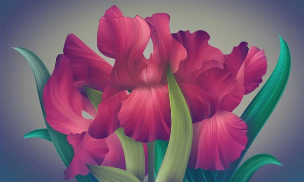 Fantasy Iris flowers ⬇ Stock Photo, Image by © Love_Kay #71158989