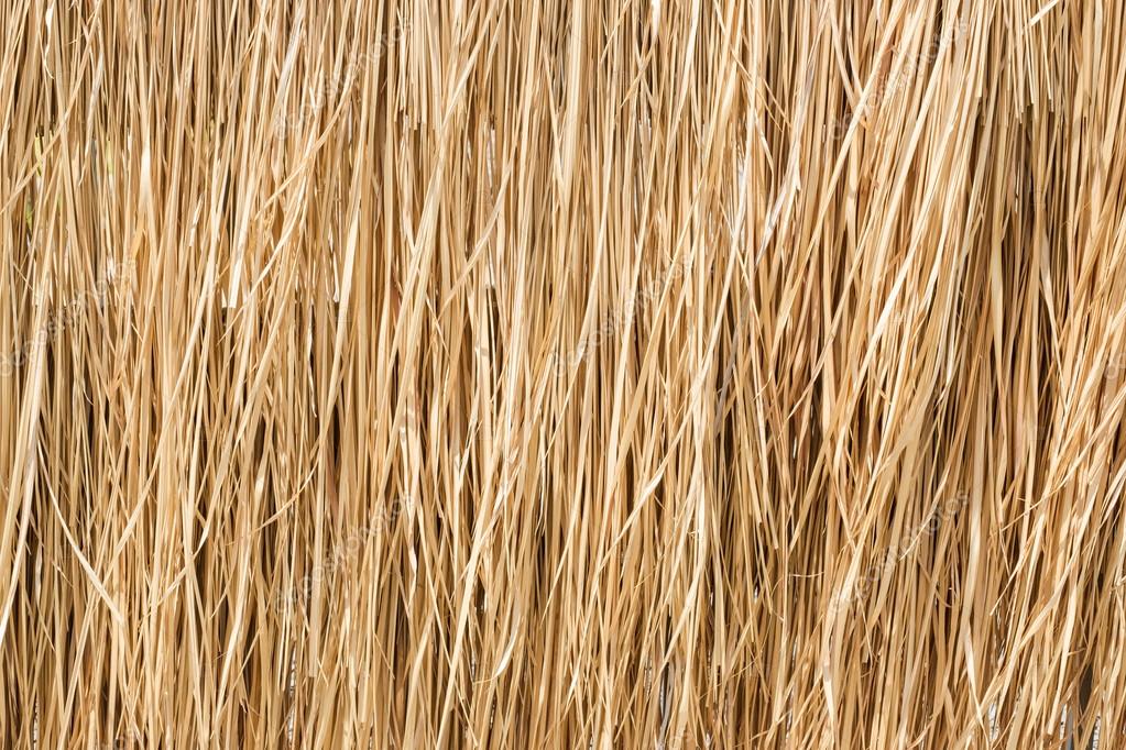 Texture de mur de paille jaune image libre de droit par weedezign ...