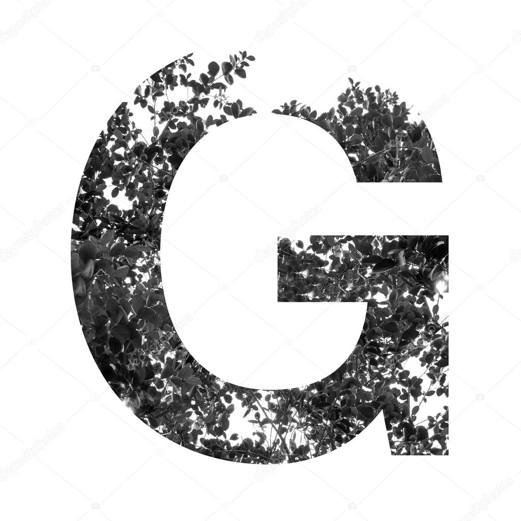 G letter double exposure — Stock Photo © weedezign #95772224