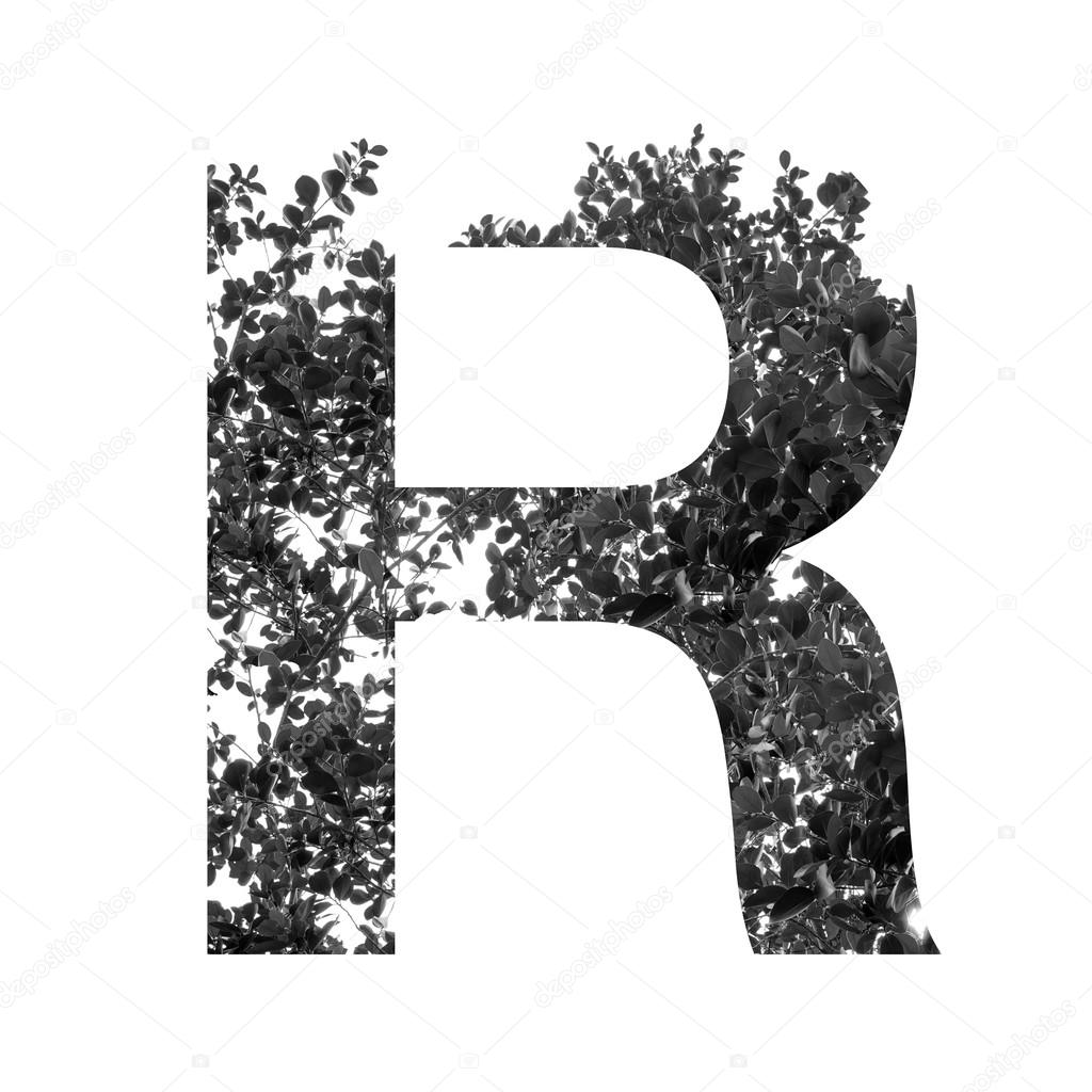 R letter double exposure — Stock Photo © weedezign #95772324