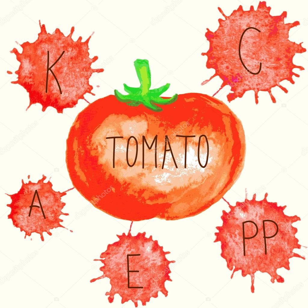 The content of vitamins in tomato. Stock Vector Image by ©Anat21om ...