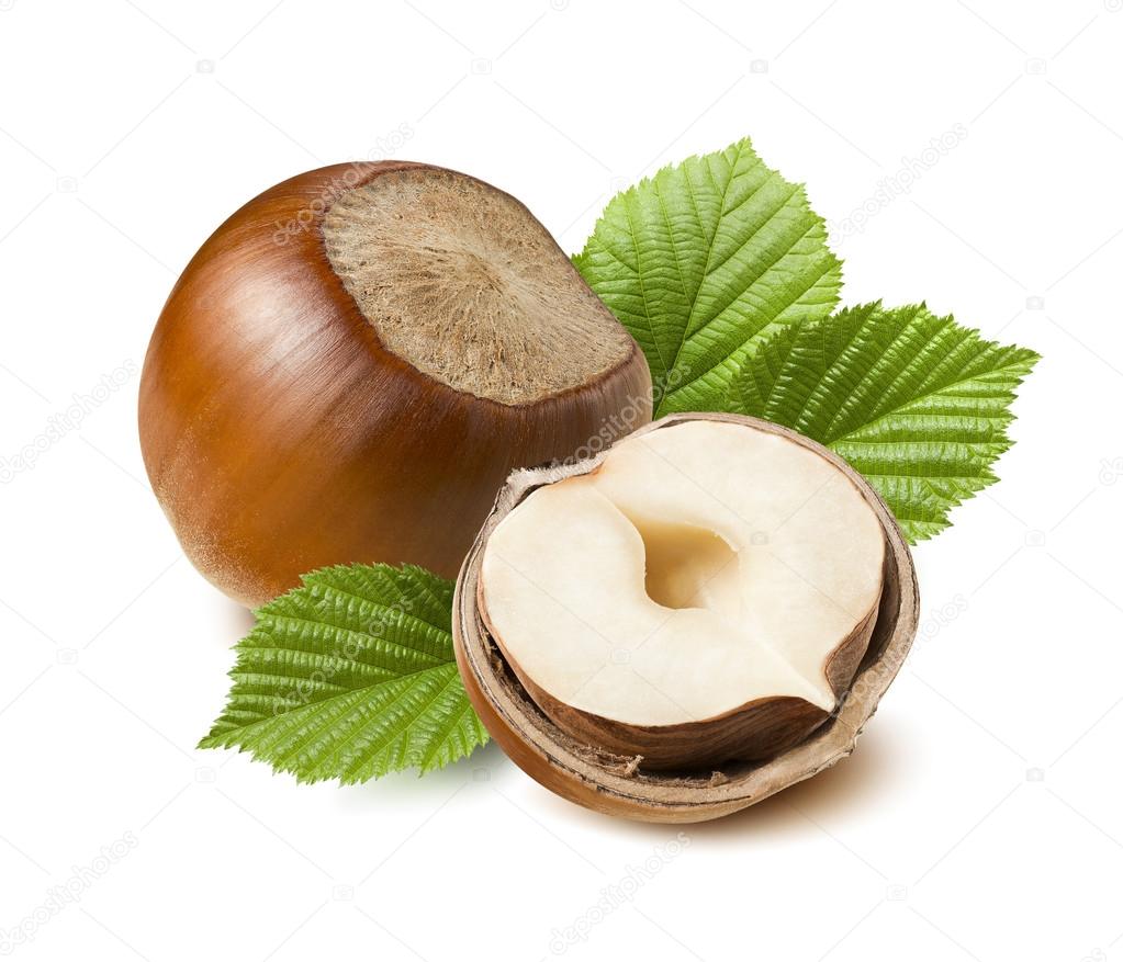 Hazelnut half leaves composition 3 isolated on white background Stock ...