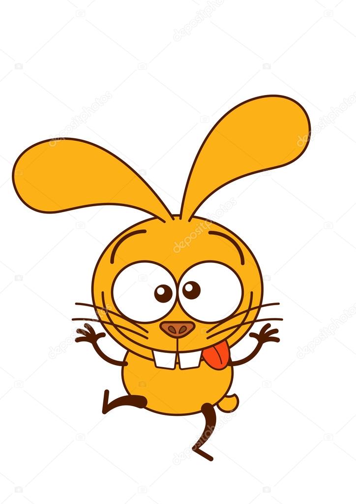 Funny Rabbit Face