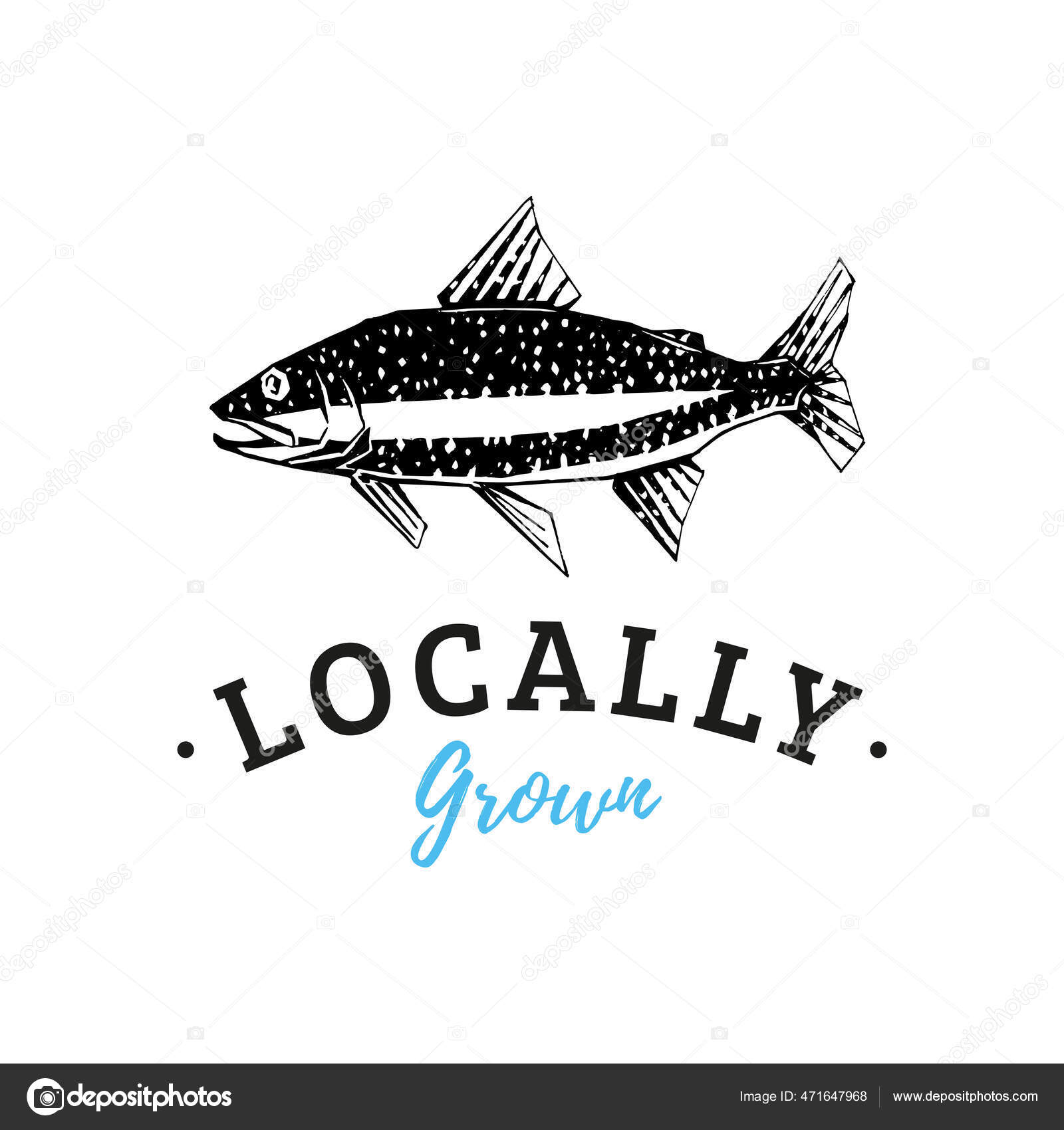 Drawing of trout in vector. Logo with lettering. Stock Vector Image by ...