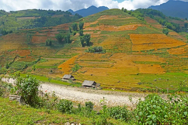 Sapa rice terraces Vietnam Stock Photo by ©awesomeaki 74811249