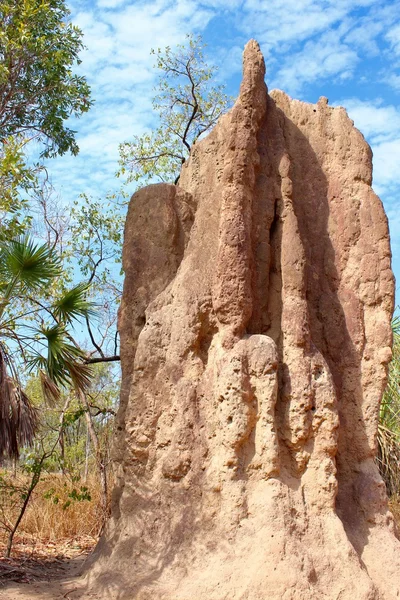 Termite towers Stock Photos, Royalty Free Termite towers Images ...