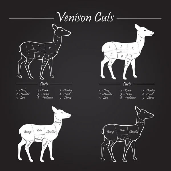 Venison cuts Vector Art Stock Images | Depositphotos