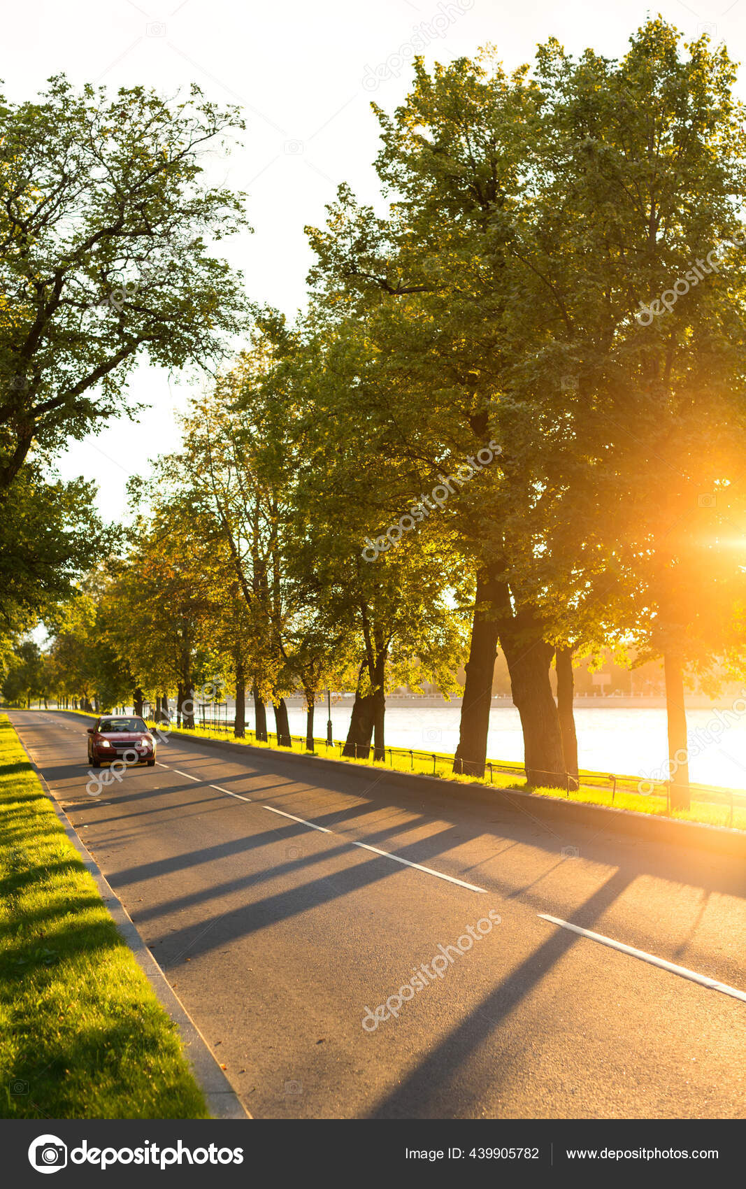 Front View Modern Car Driving Traveling Asphalt Road Park Beautiful ...