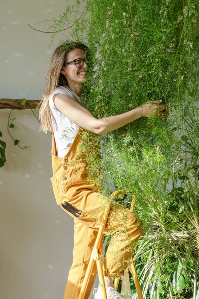 Young Woman Gardener Take Care Houseplant Standing Orange Vintage Ladder — Stock Photo ...