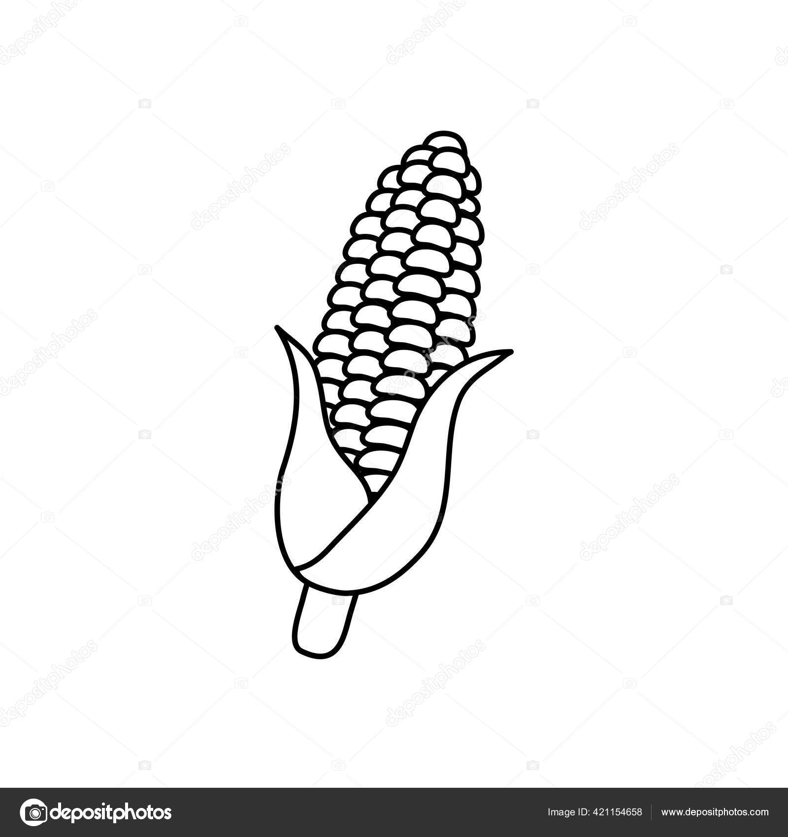 Corn cob icon, line style Stock Vector by ©vec.stock 421154658
