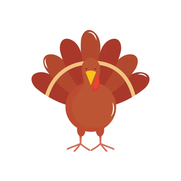 100,000 Turkey head Vector Images | Depositphotos