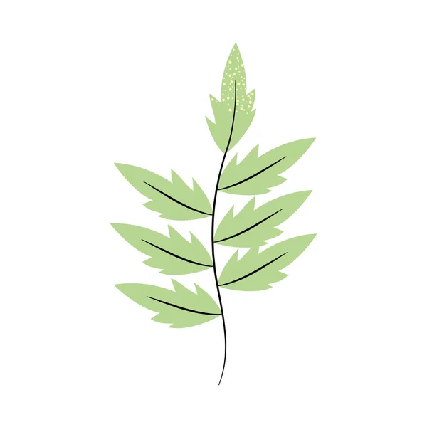 Green leaves isolated vector design Stock Vector by ©vec.stock 451827696