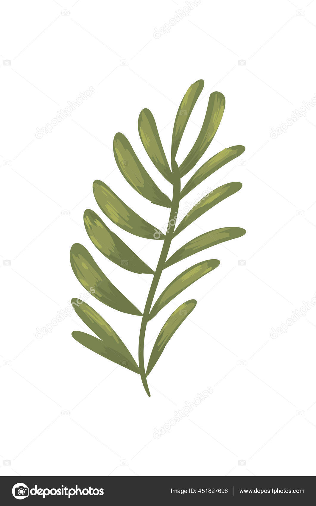 Green leaves isolated vector design Stock Vector by ©vec.stock 451827696