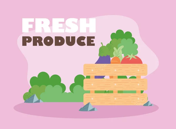 Produce reports Stock Photos, Royalty Free Produce reports Images ...