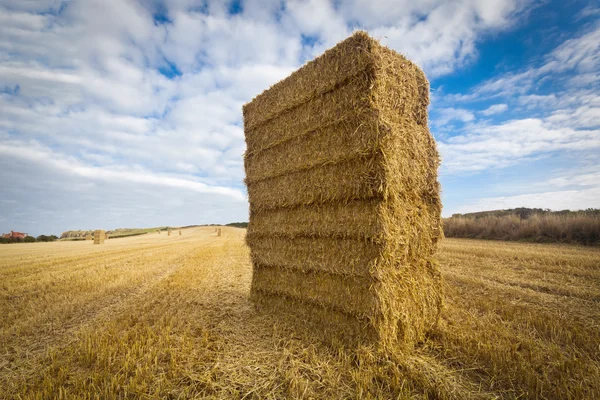 Straw combine Stock Photos, Royalty Free Straw combine Images ...