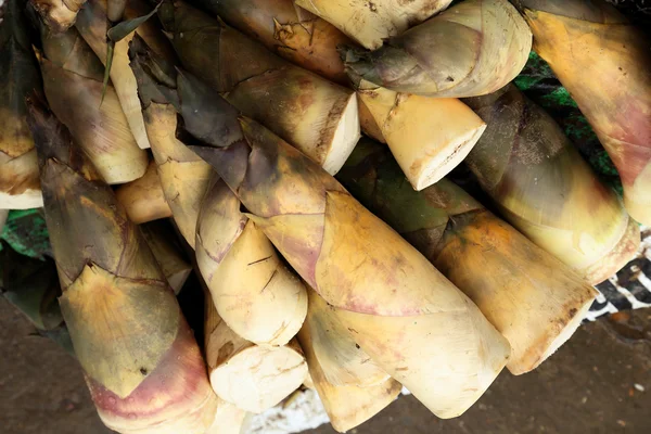 Edible bamboo Stock Photos, Royalty Free Edible bamboo Images ...