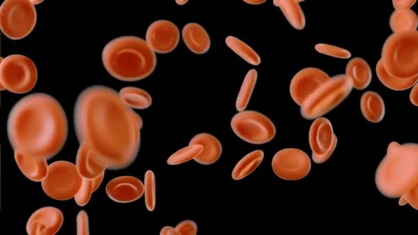 Vidéos pour Anatomie rode bloedcellen, Anatomie rode bloedcellen clips ...