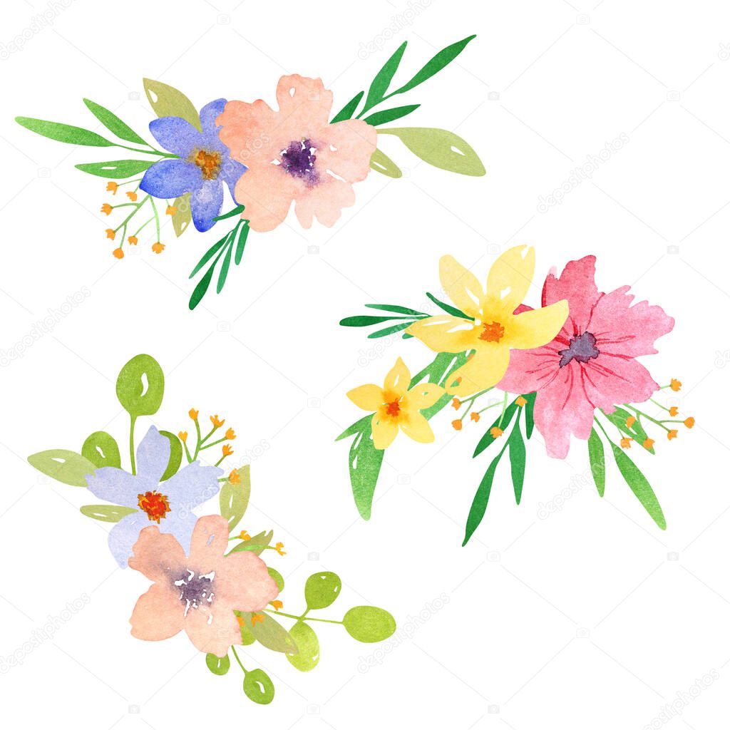Conjunto de composiciones de acuarela con flores simples aisladas sobre ...