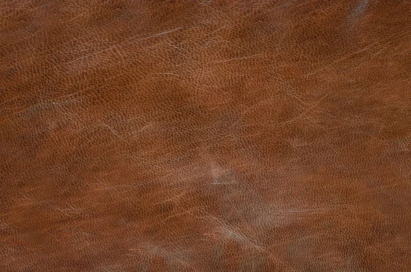 Cuero de colores fotos de stock, imágenes de Cuero de colores sin ...