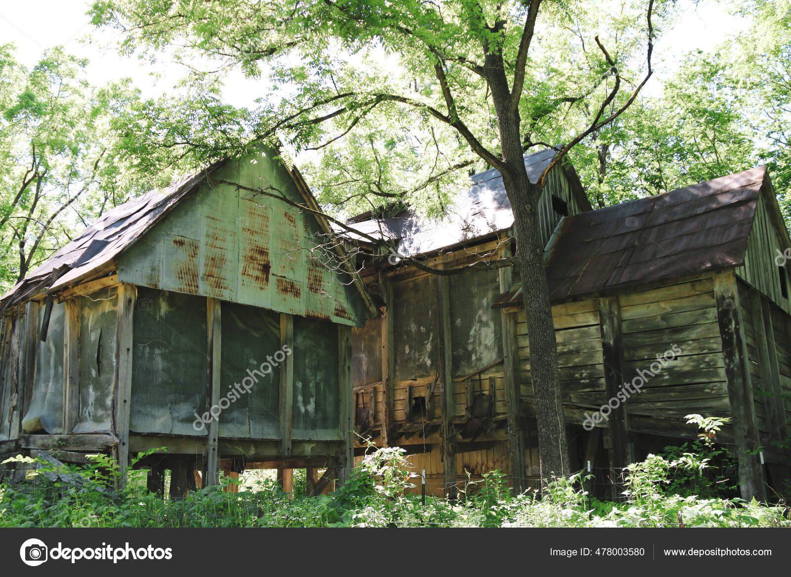 Abandoned Old Deserted Swamp Shack Buildings Damaged Weather Time ...