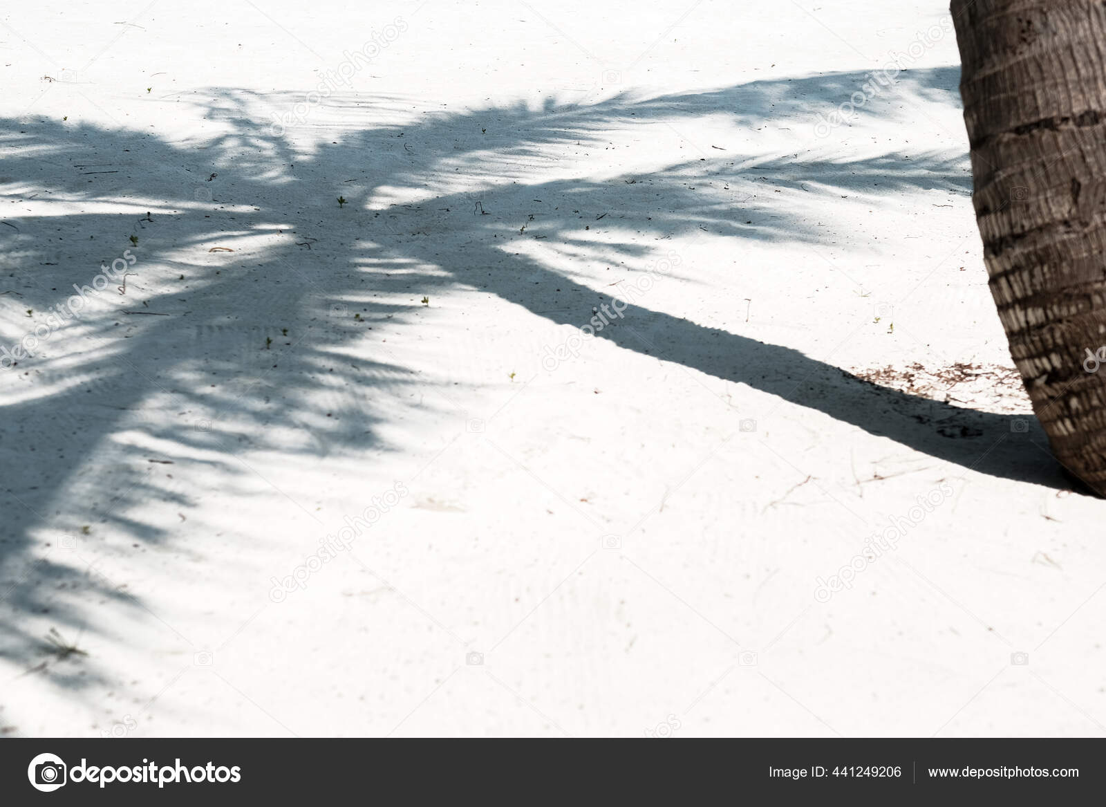 Shadow Coconut Trees White Sand Beach Background — Stock Photo ...