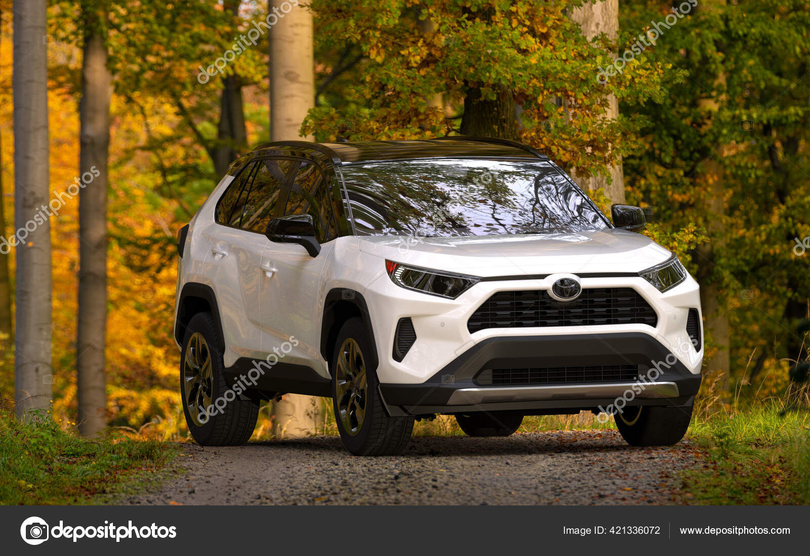 Toyota Rav Hybrid Modern Suv Road Autumn Forest — Stock Editorial Photo ...