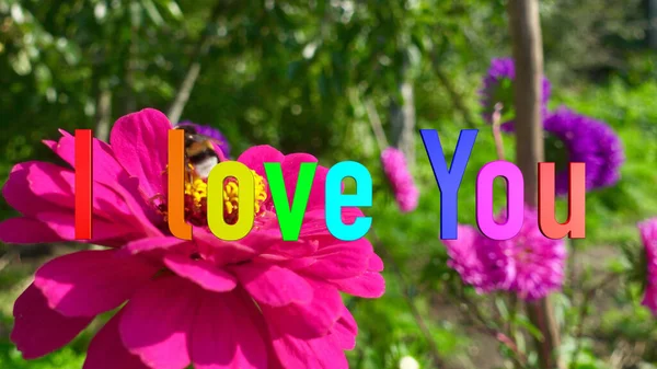 Frank james whatvare youbdiung t night lolve you and god bless you ...