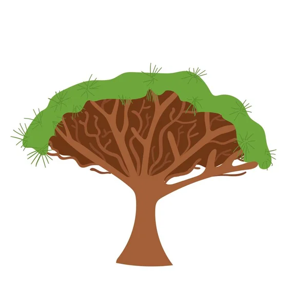 African Tree Roots Vector