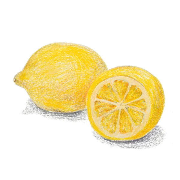 Rajz citrom Stock fotók, Rajz citrom Jogdíjmentes képek | Depositphotos