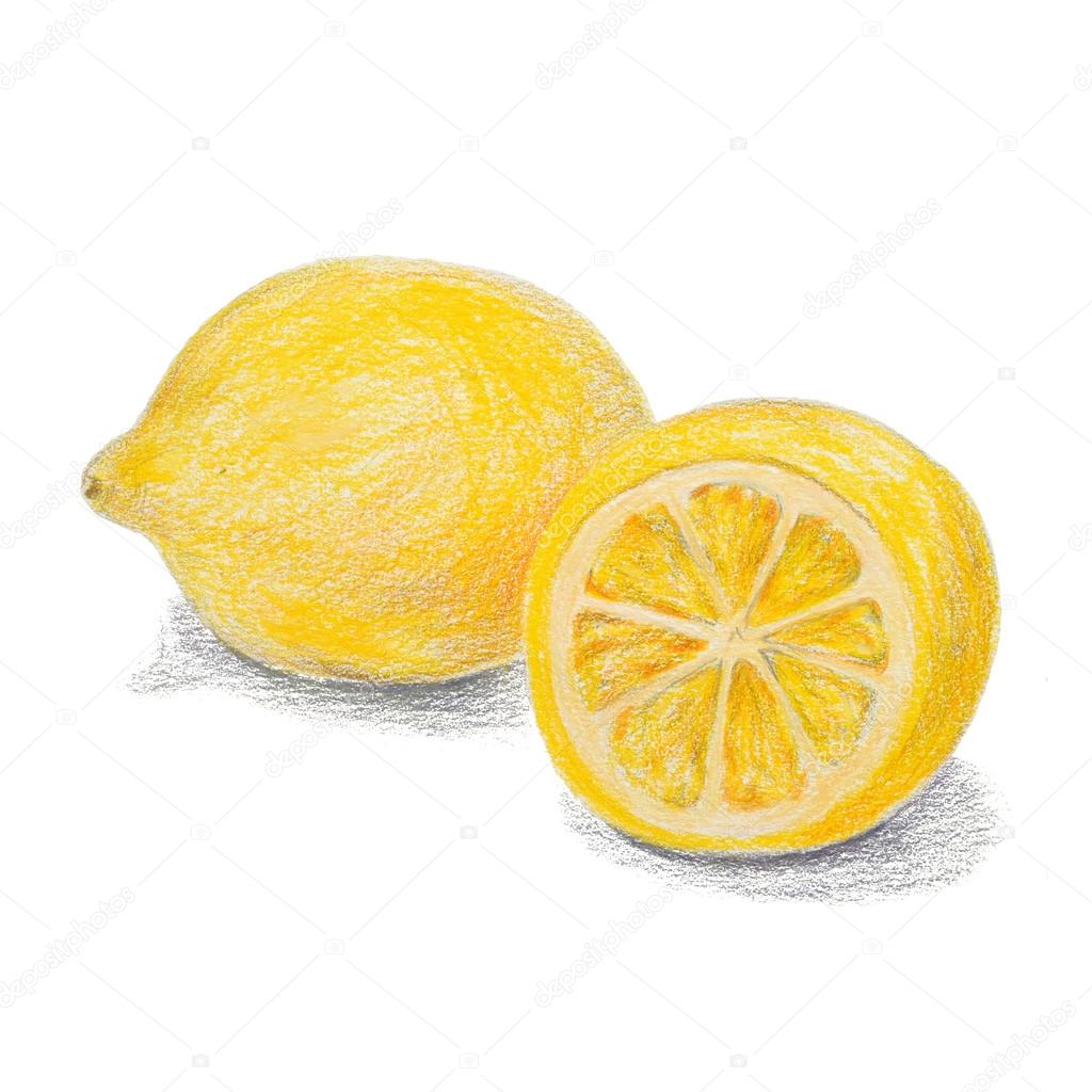 Hand drawn colored pencils lemon sketch with shadow Stock Vector Image ...