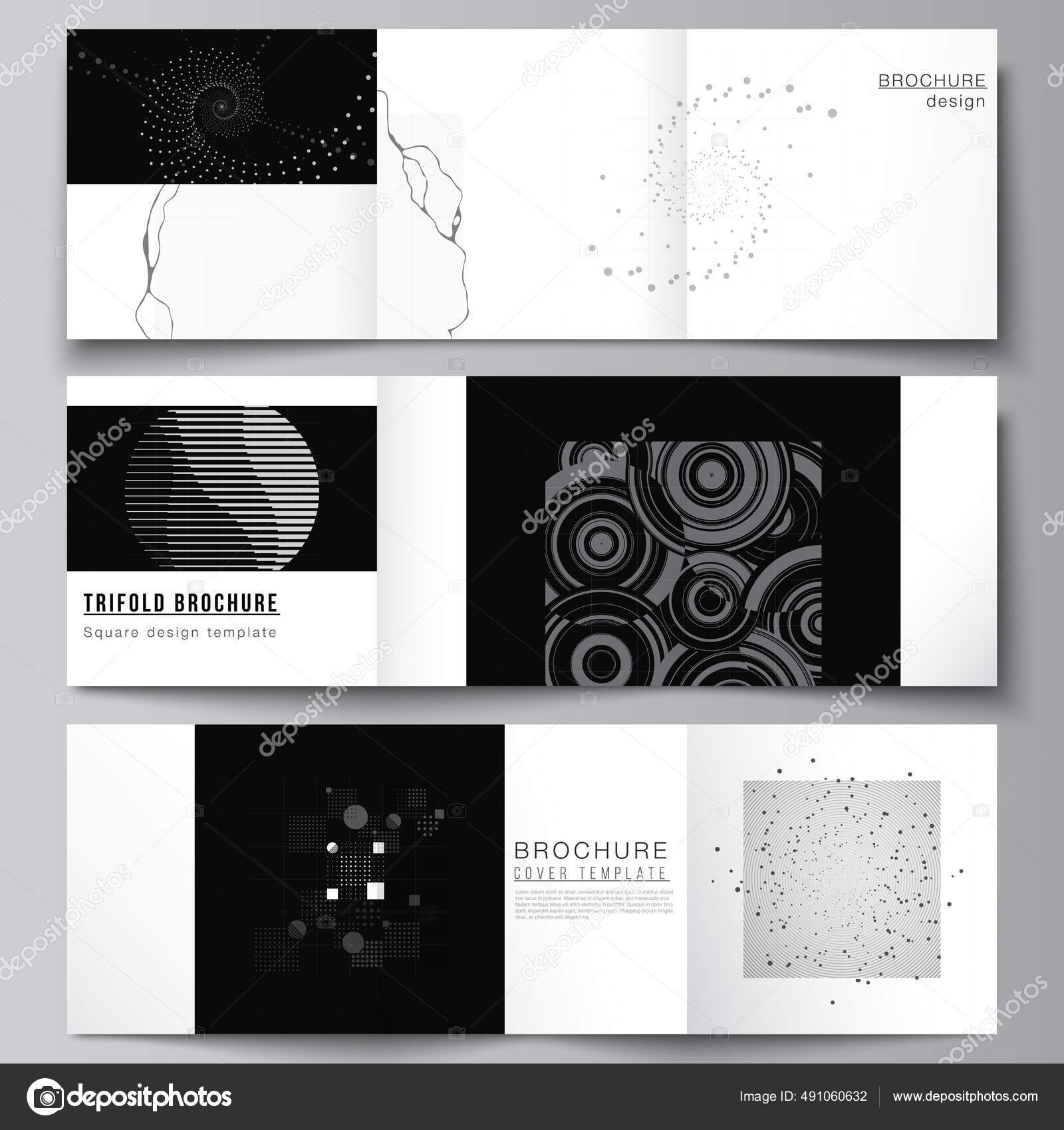 Vector layout of square covers templates for trifold brochure, flyer ...
